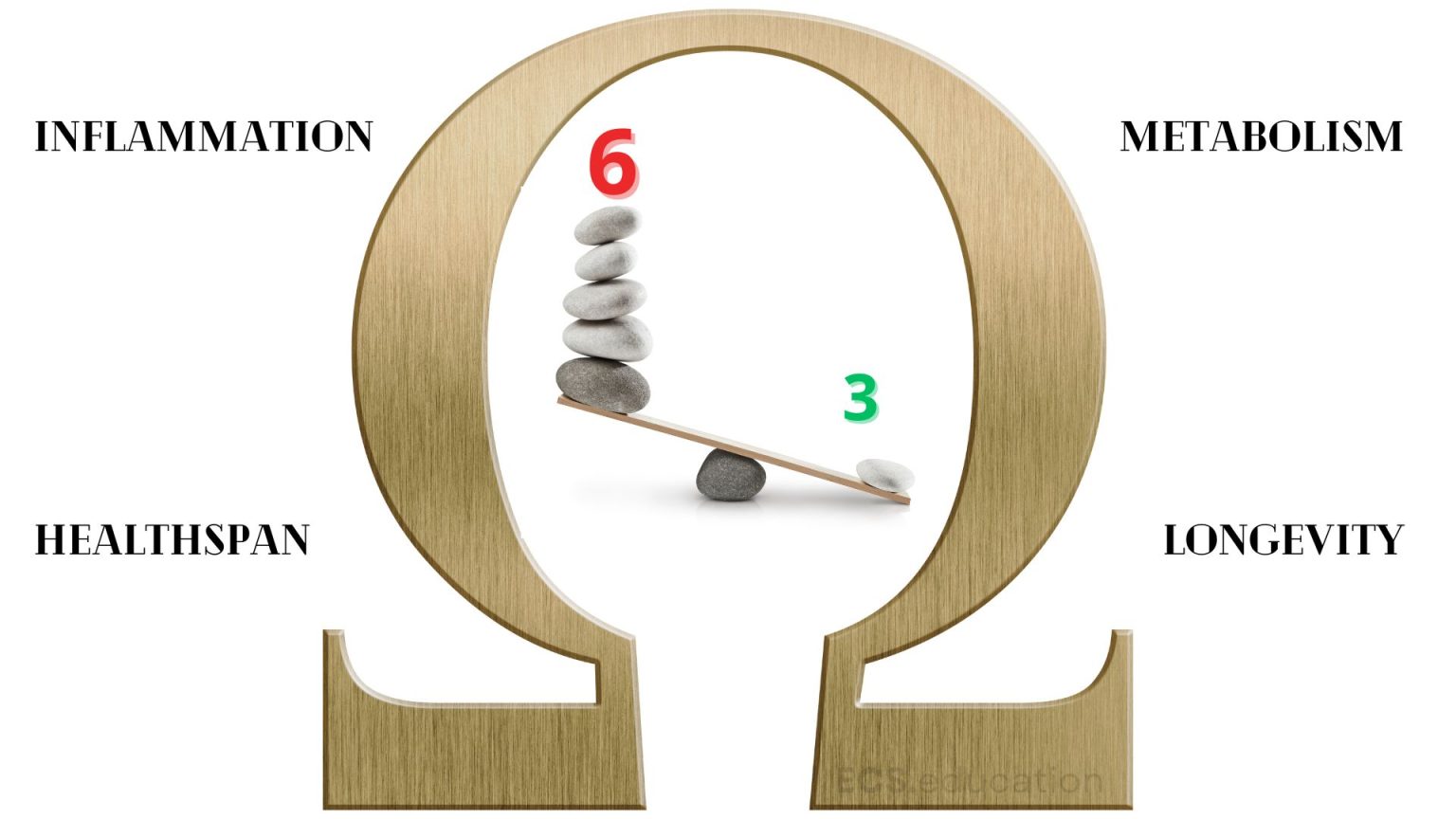 Dietary Omega-3/6 Balance: New Research Links Fatty Acid Ratios to ...
