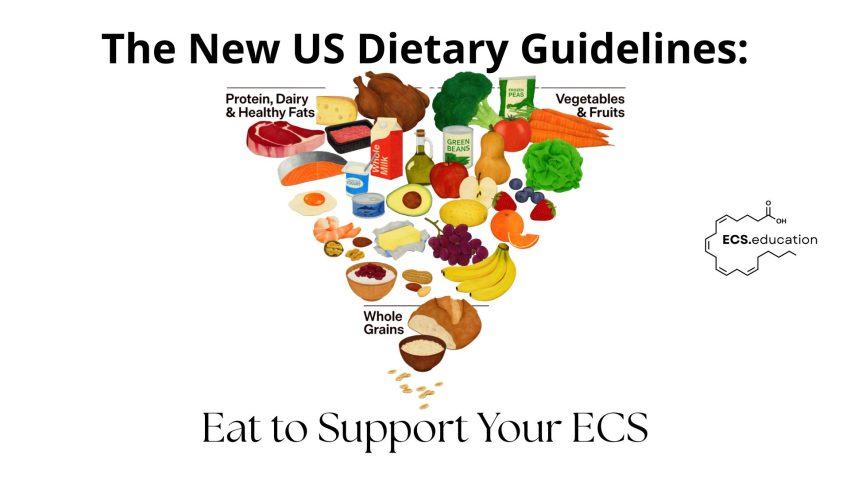 The New US Dietary Guidelines: Eat to Support Your ECS ...